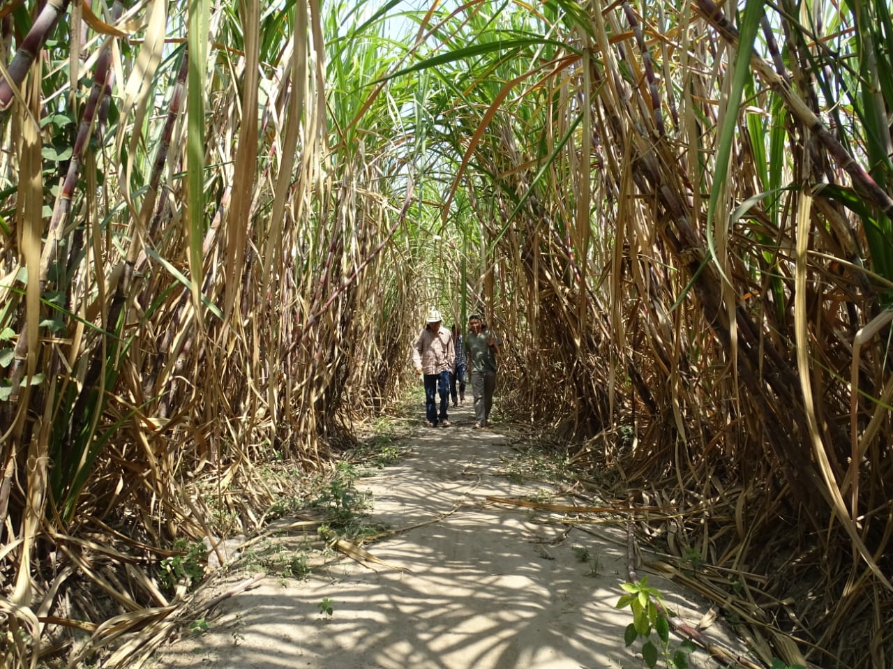 Situs Calon Arang Mpu Bharadah | BWCF